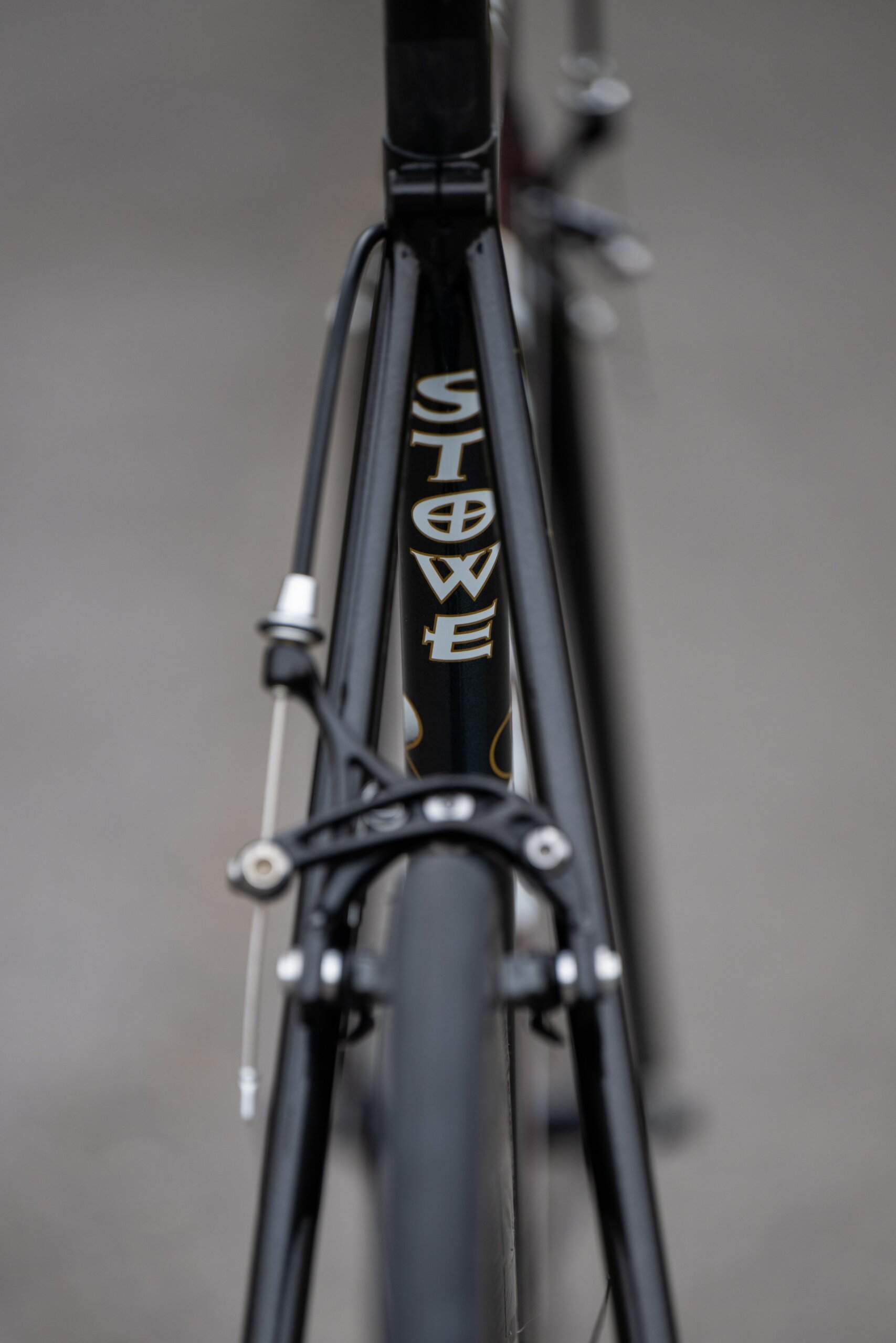 1998 Stowe EuroPro Neo-Retro - Shickluna Bikes